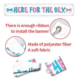 Here for The Sex Large Banner, Baby Shower Lawn Sign, Gender Reveal Party Porch Decoration, Indoor Outdoor Backdrop 8.9 x 1.6 Feet