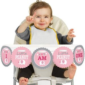 big dot of happiness pink elephant 1rst birthday highchair decor – i am one – first birthday high chair banner