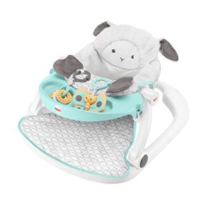 fisher-price sit-me-up floor seat with tray