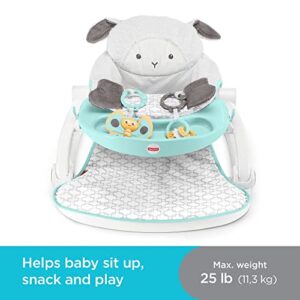 Fisher-Price Sit-Me-Up Floor Seat with Tray