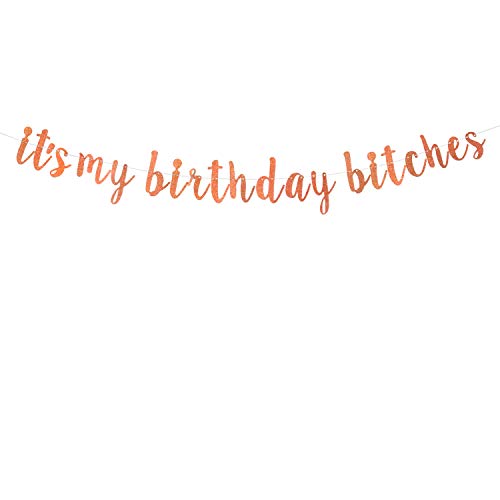 Rose Gold Glitter It's My Birthday Bitches Banner - Happy Birthday Banner - Congratulations Funny Birthday Party Decorations