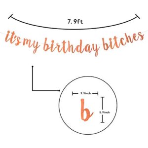 Rose Gold Glitter It's My Birthday Bitches Banner - Happy Birthday Banner - Congratulations Funny Birthday Party Decorations