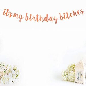 Rose Gold Glitter It's My Birthday Bitches Banner - Happy Birthday Banner - Congratulations Funny Birthday Party Decorations