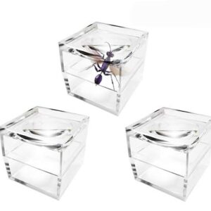 MagniPros Pack of 3 Magnifier Box Bug Viewer Magnifies up to 5X(500%) with Crystal Clear Image