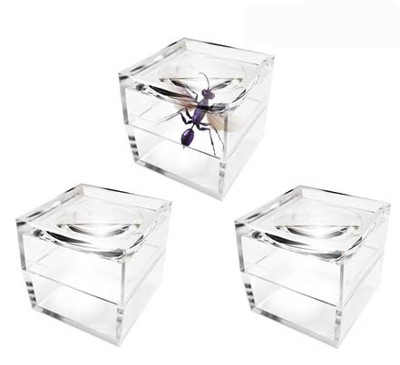 MagniPros Pack of 3 Magnifier Box Bug Viewer Magnifies up to 5X(500%) with Crystal Clear Image