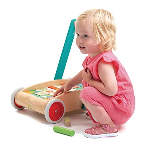 Tender Leaf Toys Baby Block Walker