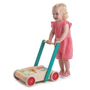 Tender Leaf Toys Baby Block Walker