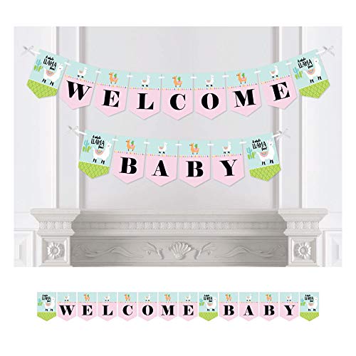 Whole Llama Fun - Llama Fiesta Baby Shower Bunting Banner - Party Decorations - Welcome Baby