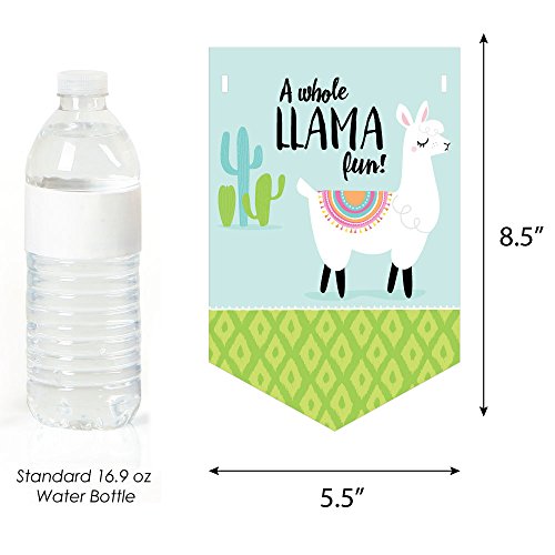 Whole Llama Fun - Llama Fiesta Baby Shower Bunting Banner - Party Decorations - Welcome Baby