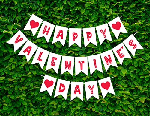 Happy Valentines Day Banner - Bunting Banner - Heart Signs - Love Banner - Valentines Day Photo Prop - Candy Heart Valentine Banner - Mantel Decor Valentines - Pre Assembled Proposal Banner