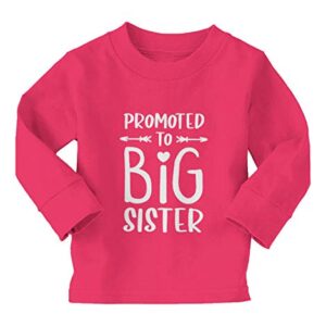 Haase Unlimited Promoted to Big Sister - New Sis Long Sleeve Toddler Cotton Jersey Shirt (Pink, 4T)