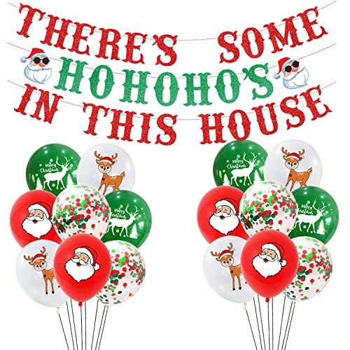 Funny Christmas Glitter Banner There's Some Ho Ho Hos in This House Banner Balloons Decorations for Winter Merry Xmas Background Baby Shower Decoration Photo Booth Props