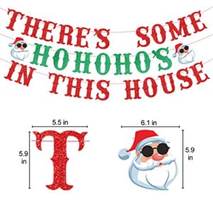 Funny Christmas Glitter Banner There's Some Ho Ho Hos in This House Banner Balloons Decorations for Winter Merry Xmas Background Baby Shower Decoration Photo Booth Props