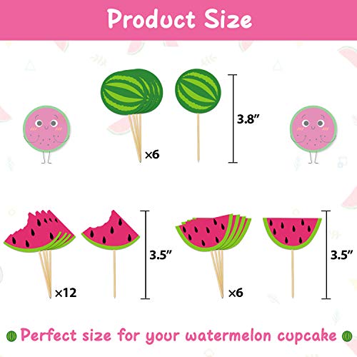 Watermelon Birthday Party Decorations One in A Melon Cake Topper Watermelon Cupcake Topper Melon Balloon 1st Bday High Chair Banner for Summer Fruit Themed First Birthday Party Supplies Glitter Decor