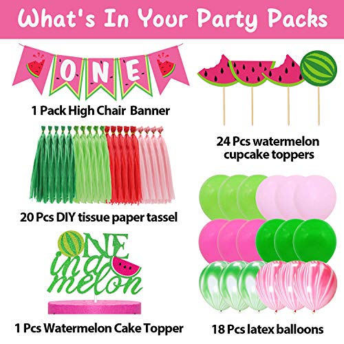 Watermelon Birthday Party Decorations One in A Melon Cake Topper Watermelon Cupcake Topper Melon Balloon 1st Bday High Chair Banner for Summer Fruit Themed First Birthday Party Supplies Glitter Decor