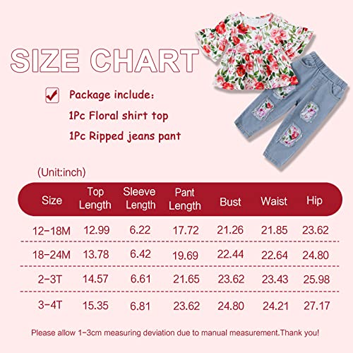 Hearyoo Baby Girl Clothes Infant Toddler Denim Ruffle Sleeve Floral Shirts Tops Ripped Jeans Pants Sets Summer Girl Outfits Red Flower 18-24 Months