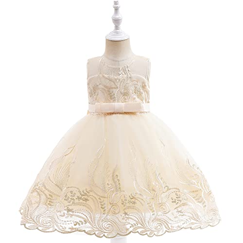 LENEFU Baby Girl Dress Kids Formal Flower Lace Embroidery,Sleeveless Princess Gown for Party Wedding Pageant(Champagne130)