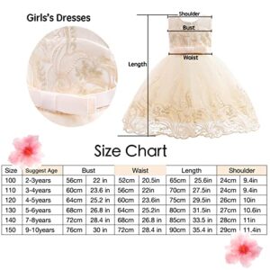 LENEFU Baby Girl Dress Kids Formal Flower Lace Embroidery,Sleeveless Princess Gown for Party Wedding Pageant(Champagne130)