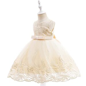 LENEFU Baby Girl Dress Kids Formal Flower Lace Embroidery,Sleeveless Princess Gown for Party Wedding Pageant(Champagne130)