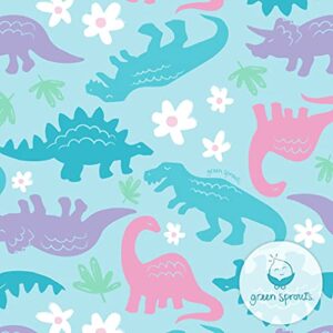 i Play Girls Reusable Absorbent Baby Swim Diapers Aqua Dinosaurs 4T