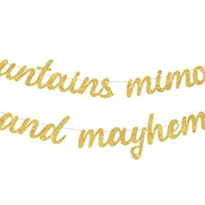 Cabin Bachelorette Party Decorations, Mountains, Mimosas and Mayhem Banner Gold, Mountain Camping Glamping Bridal Shower Engagement Wedding Supplies