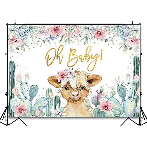 Avezano Oh Baby Sign Backdrop Mexican Fiesta Cactus Theme Baby Shower Party Decorations Holy Cow Baby Shower Decorations Oh Baby Photoshoot Background Banner (7x5ft)