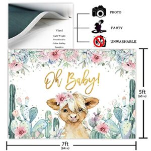 Avezano Oh Baby Sign Backdrop Mexican Fiesta Cactus Theme Baby Shower Party Decorations Holy Cow Baby Shower Decorations Oh Baby Photoshoot Background Banner (7x5ft)