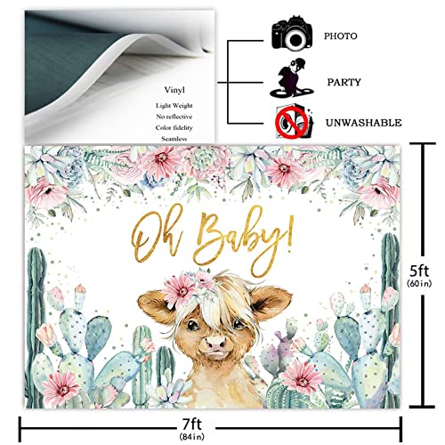 Avezano Oh Baby Sign Backdrop Mexican Fiesta Cactus Theme Baby Shower Party Decorations Holy Cow Baby Shower Decorations Oh Baby Photoshoot Background Banner (7x5ft)