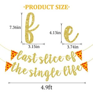 Last Slice Of The Single Life Banner, Bachelorette Pizza Party Banner, Pizza Party Decorations, Gold Glitter