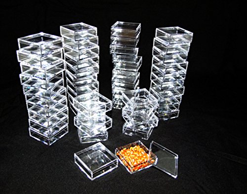 2 By 2 Inch Square Clear Acrylic Bead/Gem Storage Boxes 50 QTY