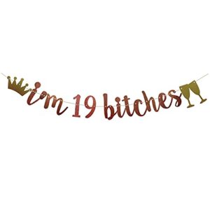 i’m 19 bitches banner,pre-strung, rose gold glitter paper funny party decorations for 19th birthday party supplies happy 19th birthday cheers to 19 years letters rose gold betteryanzi