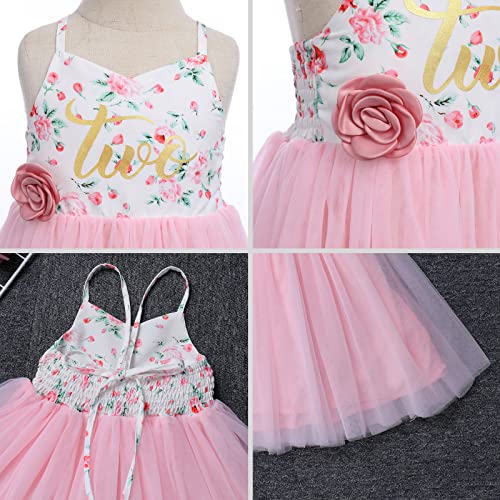 Baby Girl Toddler Kids Second 2nd Birthday Dress Boho Floral Printed Backless Tutu Tulle Maxi Long Dress Two Years Old Party Photo Shooting Clothes Summer Beach Pageant Wedding Bridesmaid Pink Two