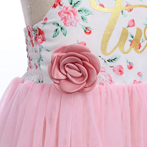 Baby Girl Toddler Kids Second 2nd Birthday Dress Boho Floral Printed Backless Tutu Tulle Maxi Long Dress Two Years Old Party Photo Shooting Clothes Summer Beach Pageant Wedding Bridesmaid Pink Two