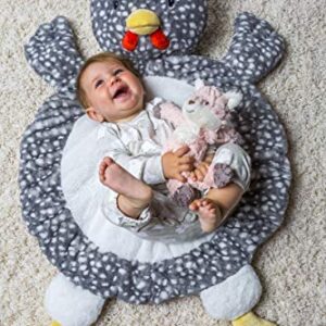 Mary Meyer Bestever Baby Mat, Rocky Chicken