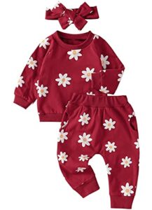 zoerea baby girl clothes outfits 3m-3 years flower long sleeve sweatshirt tops pants set toddler girl clothes gift