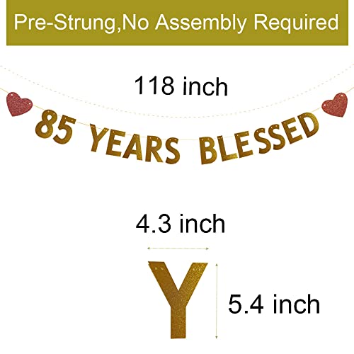 Betteryanzi Gold 85 Years Blessed Banner,Pre-strung,85th Birthday/Wedding Anniversary Party Decorations Supplies,Gold Glitter Paper Garlands Backdrops,Letters Gold 85 YEARS BLESSED