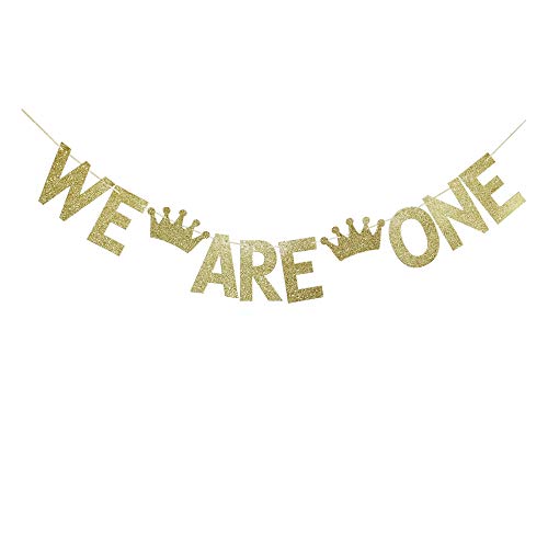 We are One Banner for Baby Twins' First Birthday Party Sign Decorations, Twins' 1st Birthday Party Supplies