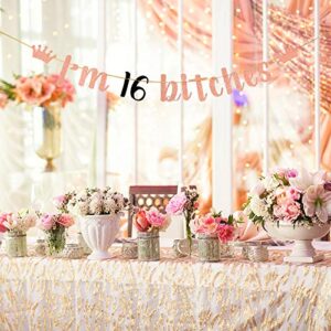 Rose Gold Glitter I’m 16 Bitches Banner - Happy 16th Birthday Banner - Girl's 16th Birthday Party Decorations - Sixteen Years Old Birthday Banner