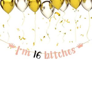 Rose Gold Glitter I’m 16 Bitches Banner - Happy 16th Birthday Banner - Girl's 16th Birthday Party Decorations - Sixteen Years Old Birthday Banner