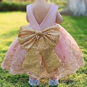 Flower Girl Dress 3-6 M Month Sleeveless Lace Embroidery Special Occasion Dress Ruffles Wedding Birthday Dresses Dressy Up Fancy Tulle Tutu Ball Gown for Infant Party Knee Sundress (8557Pink, 60)