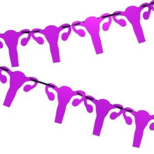 roflmart metallic pink uterus banner party decorations