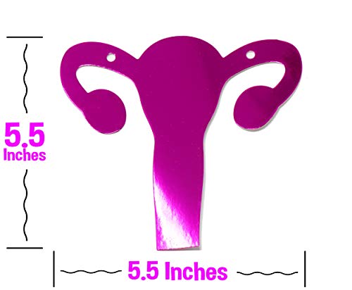 ROFLmart Metallic Pink Uterus Banner Party Decorations