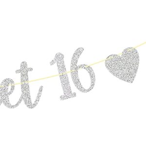 Dill-Dall Silver Glitter Happy Sweet 16 Banner, Cheer to16 Years Sweet Sixteen Decoration 16th Birthday Party Decorations