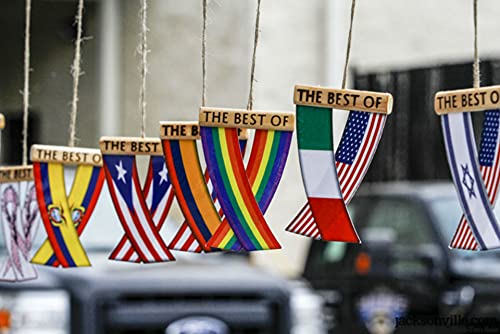 NIGERIA AND USA NIGERIAN AMERICAN WEST AFRICAN REARVIEW MIRROR MINI BANNER HANGING FLAGS FOR THE CAR UNITY FLAGZ™..