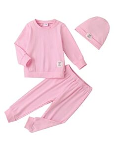 melaogoy toddler baby girl clothes outfit long sleeve sweatsuit set solid top+pants+hat 3pcs(2-3t pink)