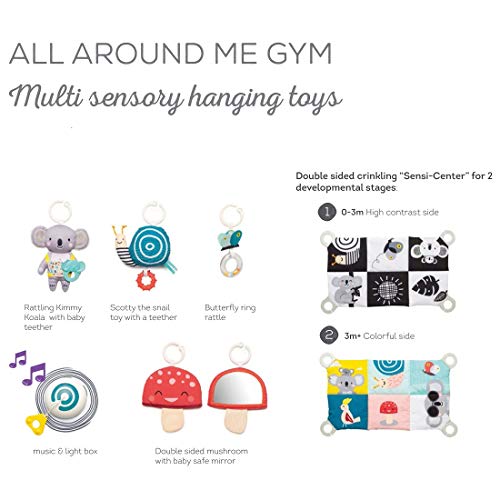 Taf Toys 4 in 1 Music and Light All Around Me Baby Activity Gym Thickly Padded with Soft Mat and a Unique “Sensi-Center” for a Variety of Body Positioning for Newborn and Up