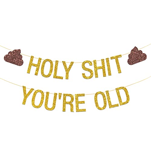 RoadSea Holy Shit You're Old Banner - Funny Birthday Party Garland Supplies for Adult - 30th 40th 50th 60th 70th 80th Birthday Party Decorations - Gold Glitter