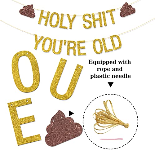 RoadSea Holy Shit You're Old Banner - Funny Birthday Party Garland Supplies for Adult - 30th 40th 50th 60th 70th 80th Birthday Party Decorations - Gold Glitter