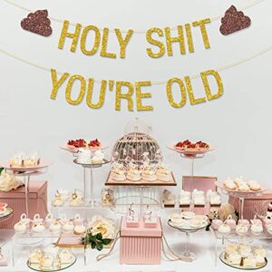 RoadSea Holy Shit You're Old Banner - Funny Birthday Party Garland Supplies for Adult - 30th 40th 50th 60th 70th 80th Birthday Party Decorations - Gold Glitter