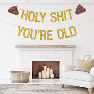 RoadSea Holy Shit You're Old Banner - Funny Birthday Party Garland Supplies for Adult - 30th 40th 50th 60th 70th 80th Birthday Party Decorations - Gold Glitter